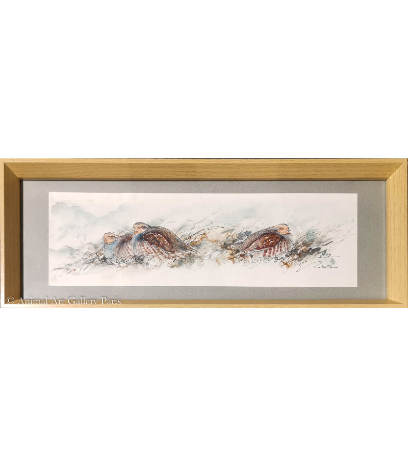Dessin | Perdrix grises | Estelle Rebottaro | Animal-Art-Gallery-Paris