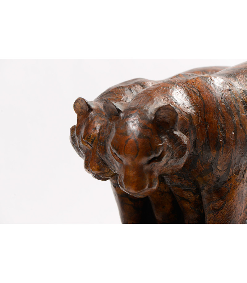 CALIN FELIN (COUPLE DE TIGRES)