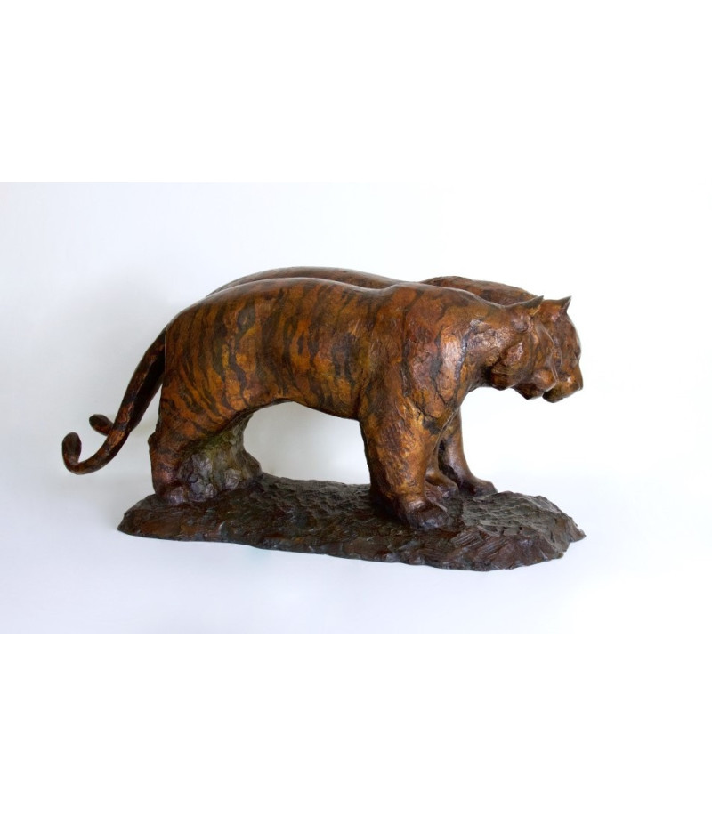 CALIN FELIN (COUPLE DE TIGRES)