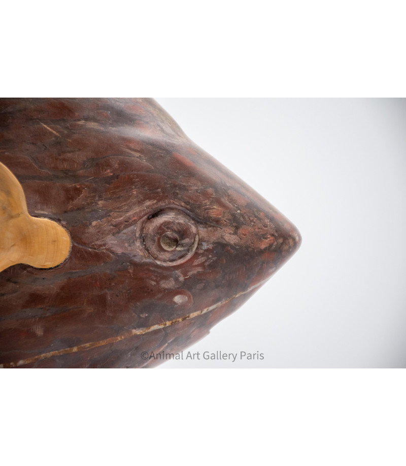 Sculpture | Poisson-lune | Yann Fustec | Animal-Art-Gallery-Paris