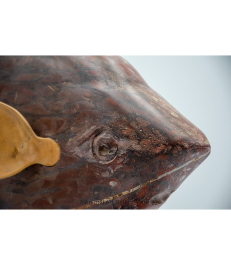 Sculpture | Poisson-lune | Yann Fustec | Animal-Art-Gallery-Paris