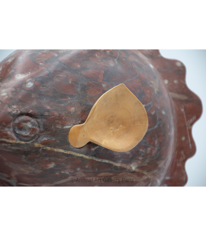 Sculpture | Poisson-lune | Yann Fustec | Animal-Art-Gallery-Paris