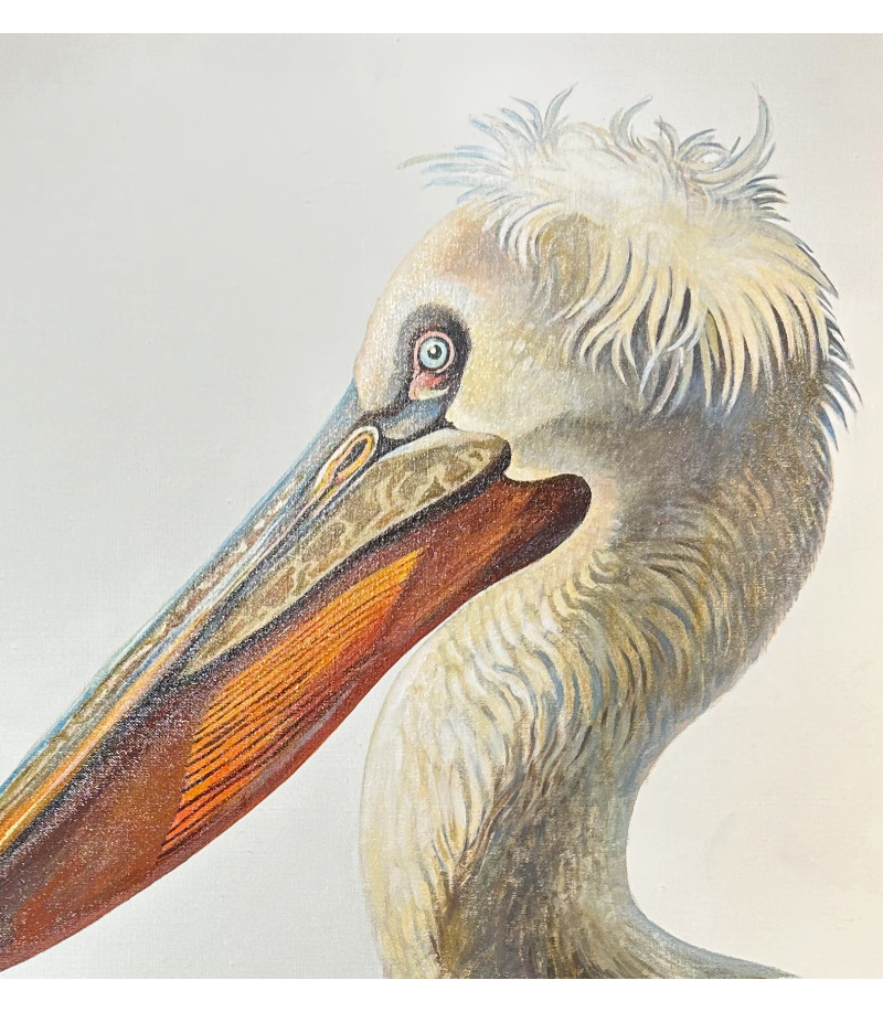 Peinture | Pélican | Blaise PRUD'HON | Animal-Art-Gallery-Paris
