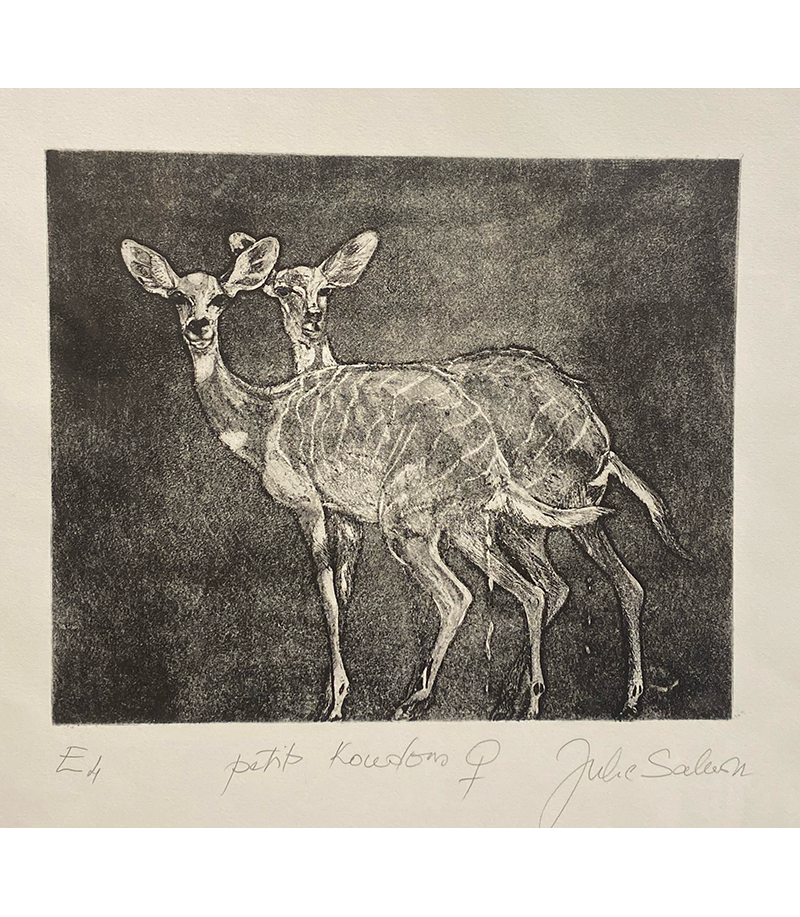 Gravure | koudous femelles | Julie Salmon | Animal-Art-Gallery-Paris