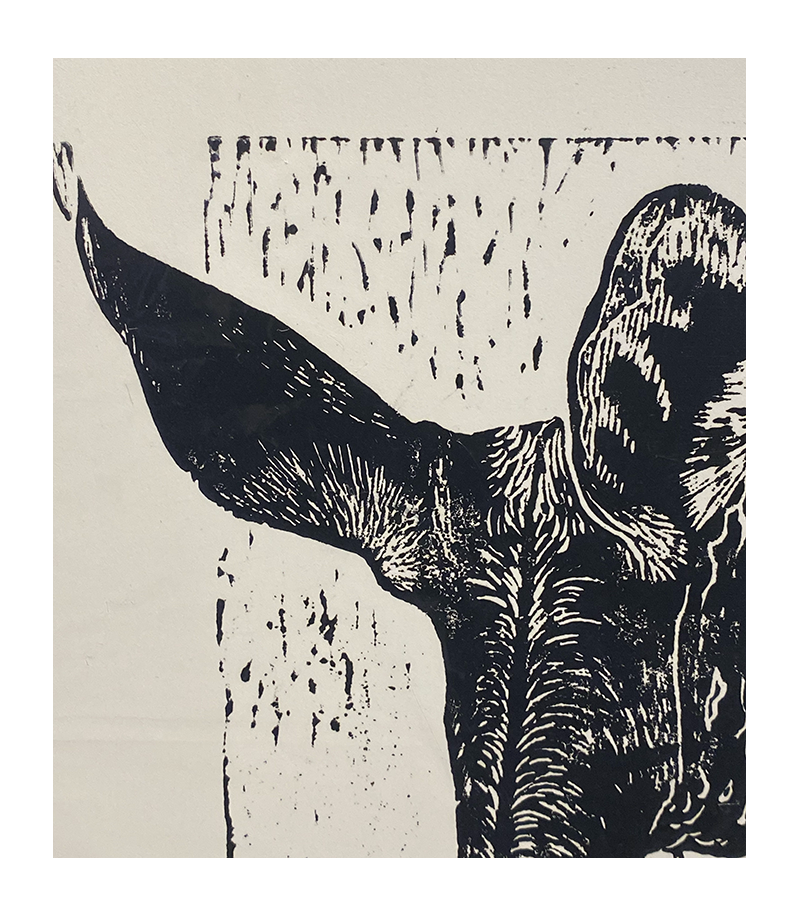 Gravure | koudous femelles | Julie Salmon | Animal-Art-Gallery-Paris